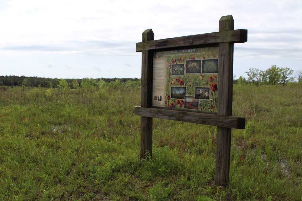 Bienville National Forest | Raven About The Parks