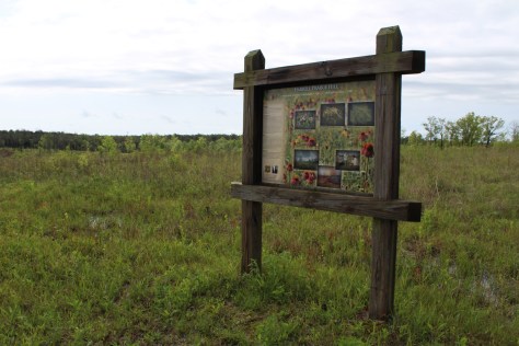 Bienville National Forest | Raven About The Parks