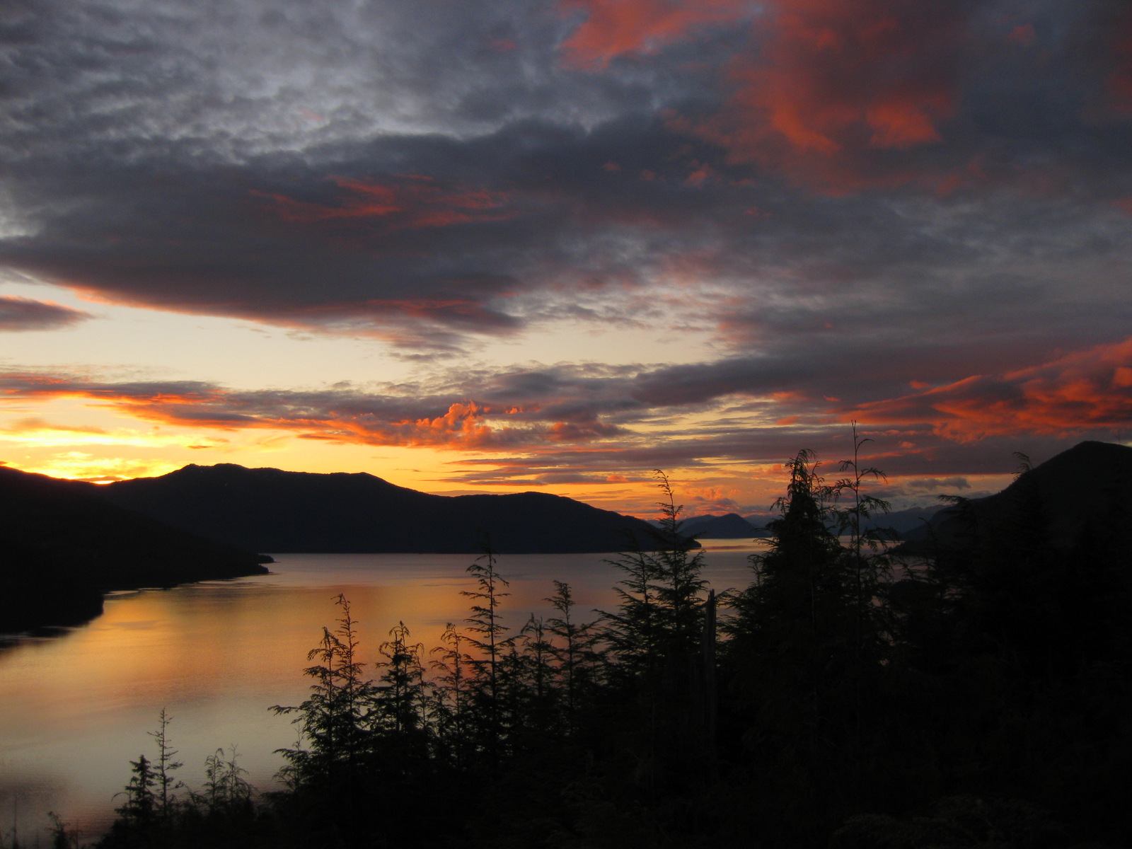 Top 10 Movies Filmed in National Forests | Raven About The Parks