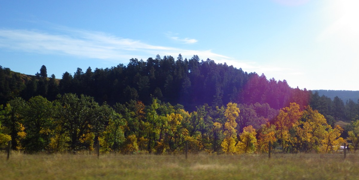 Top 10 Movies Filmed in National Forests | Raven About The Parks ...