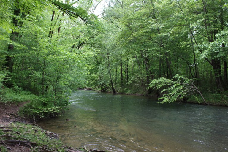 Cherokee National Forest | Raven About The Parks