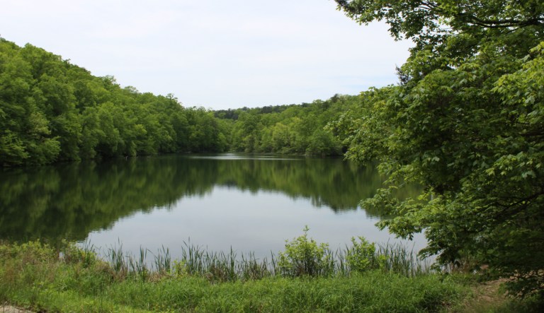 Cherokee National Forest | Raven About The Parks