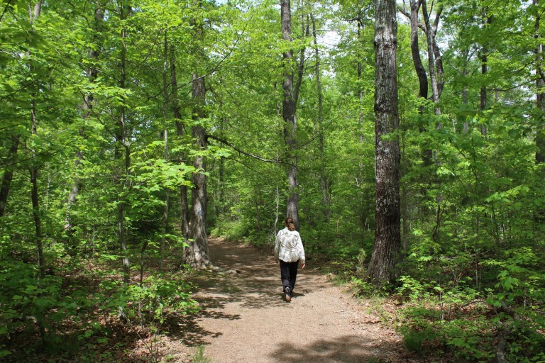 Cherokee National Forest | Raven About The Parks