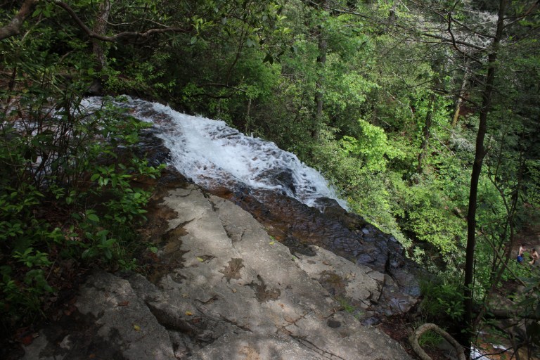 Cherokee National Forest | Raven About The Parks