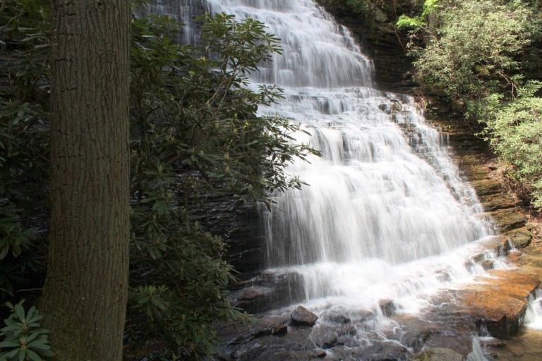 Cherokee National Forest | Raven About The Parks