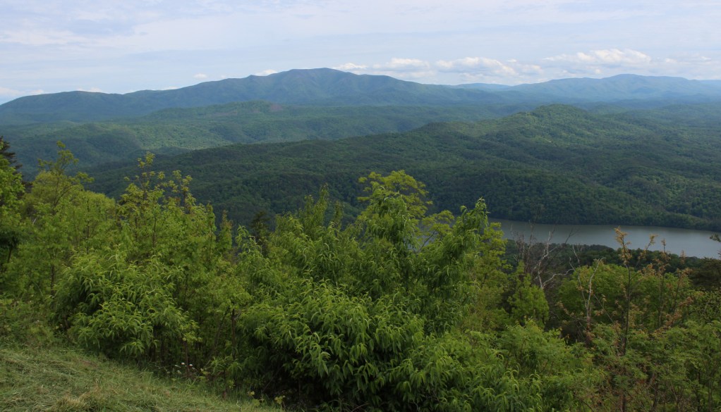 Cherokee National Forest | Raven About The Parks