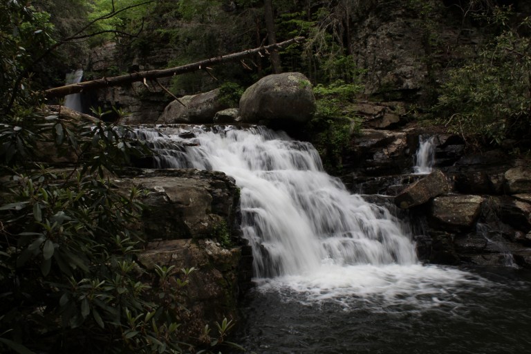 Cherokee National Forest | Raven About The Parks