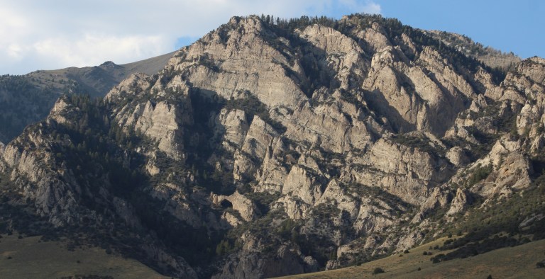 Challis National Forest | Raven About The Parks