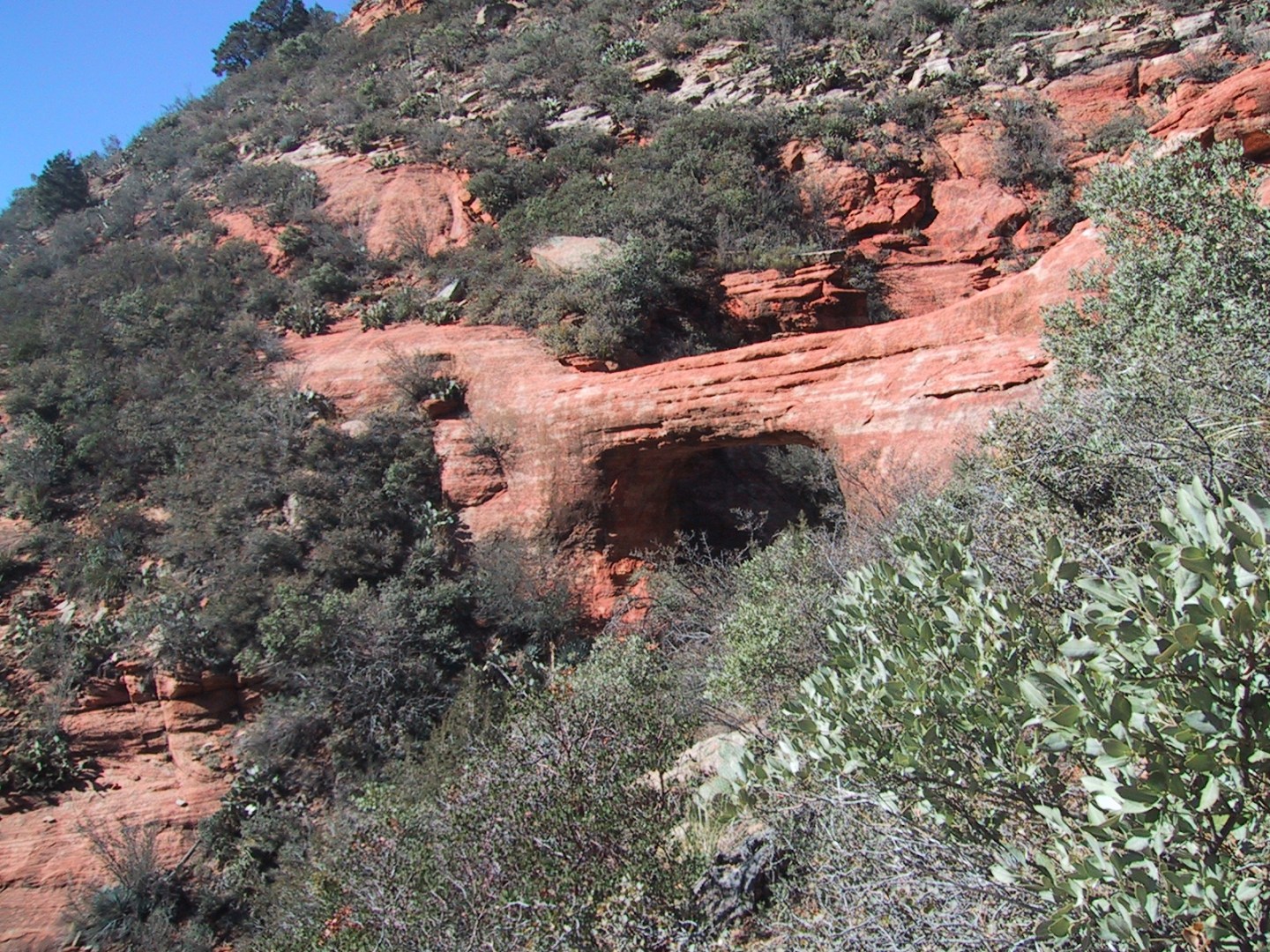Coconino National Forest | Raven About The Parks