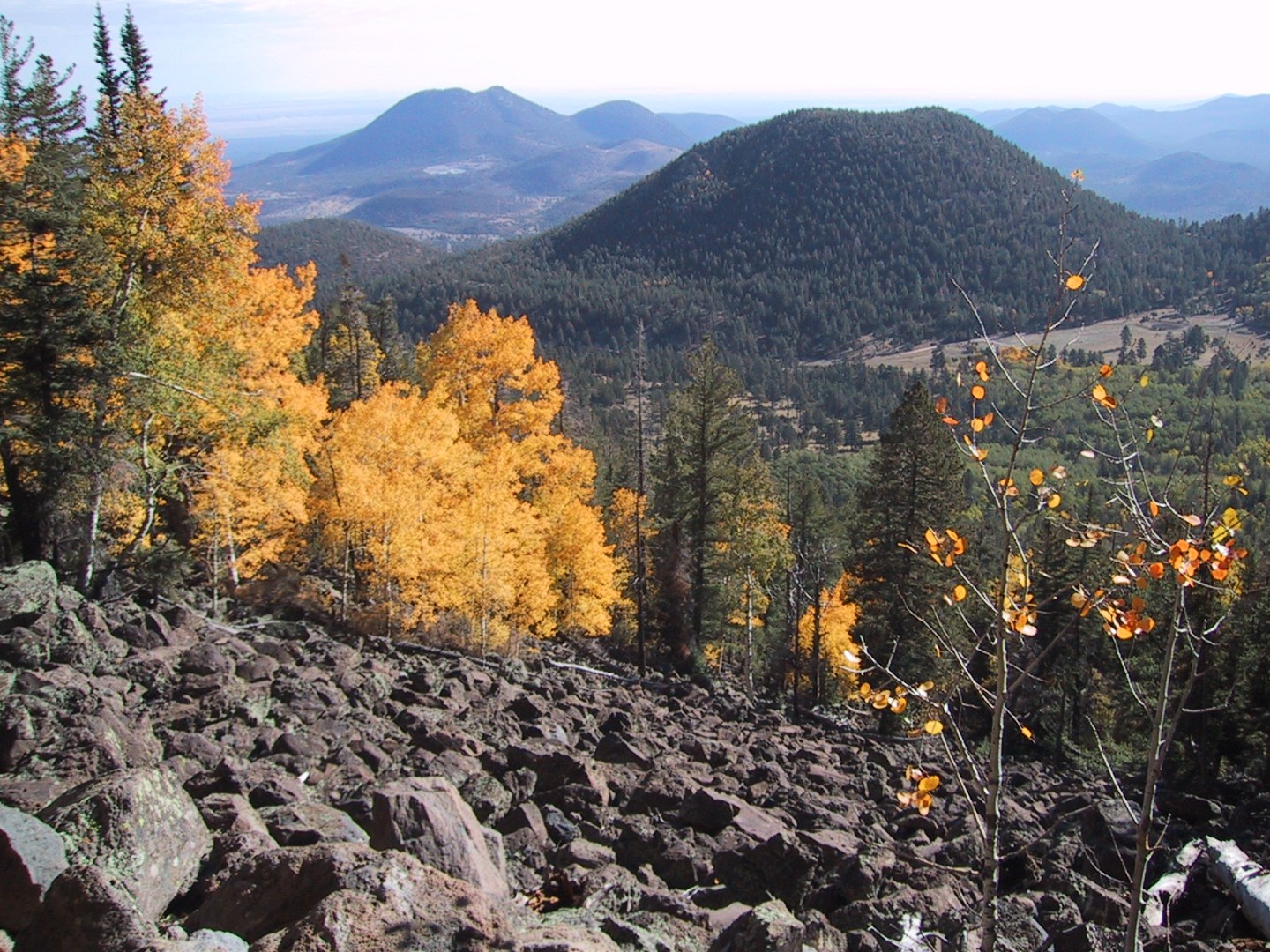 Coconino National Forest | Raven About The Parks