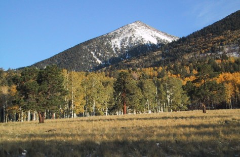 Coconino National Forest | Raven About The Parks