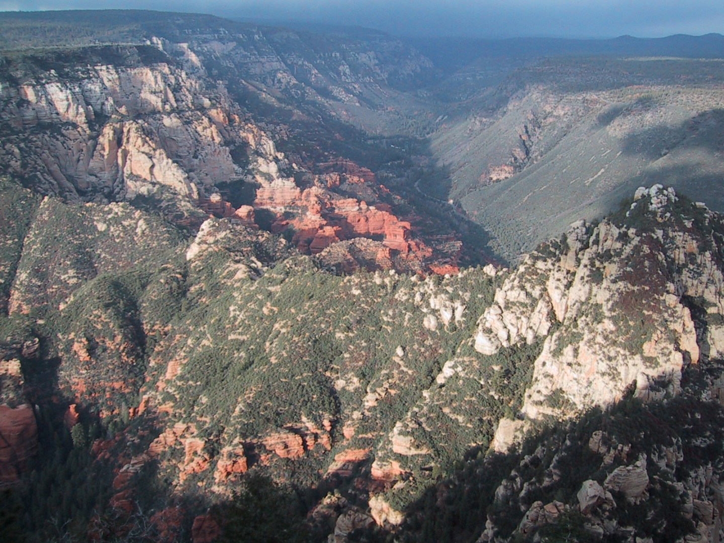 Coconino National Forest | Raven About The Parks