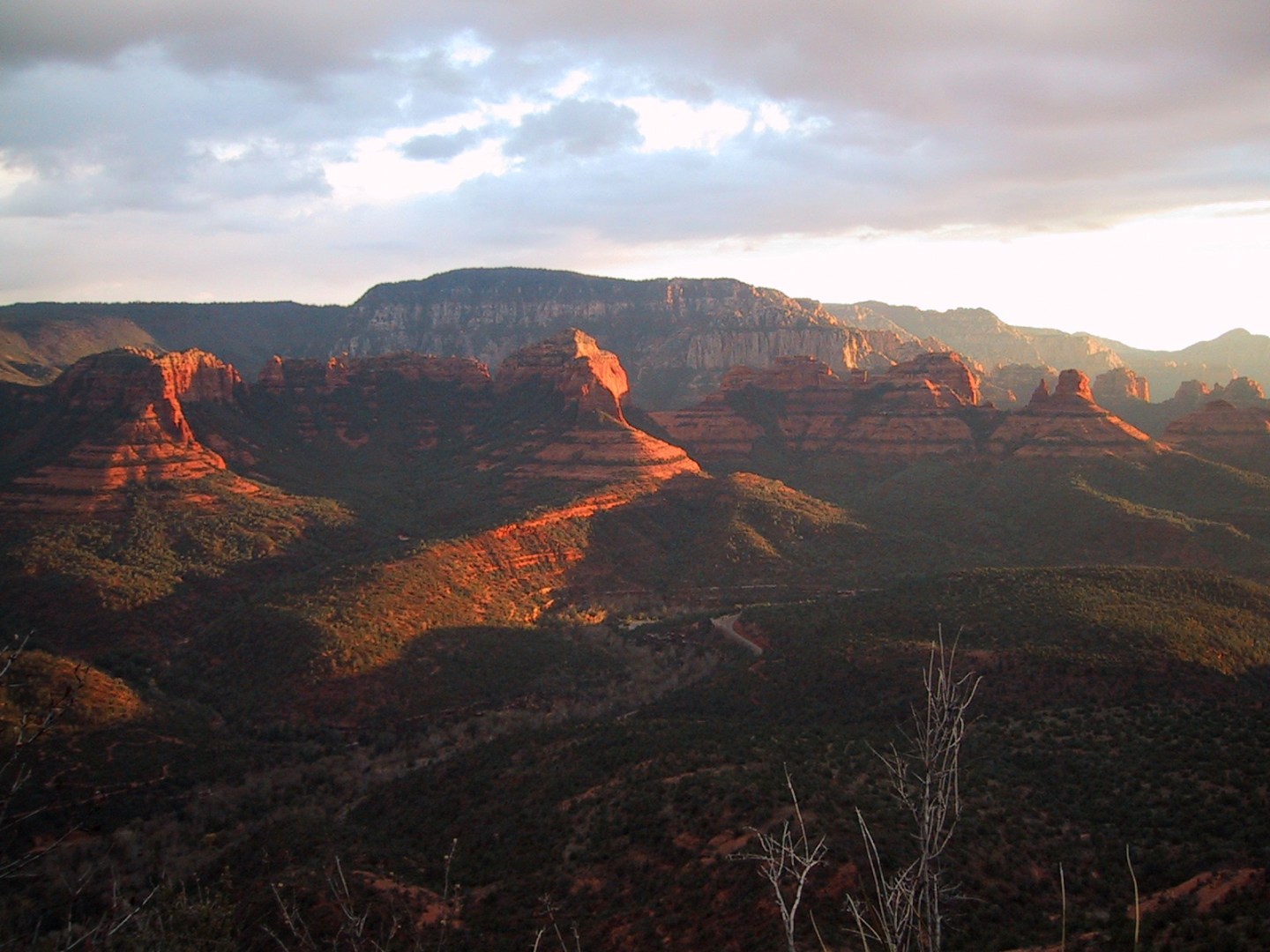 Coconino National Forest | Raven About The Parks