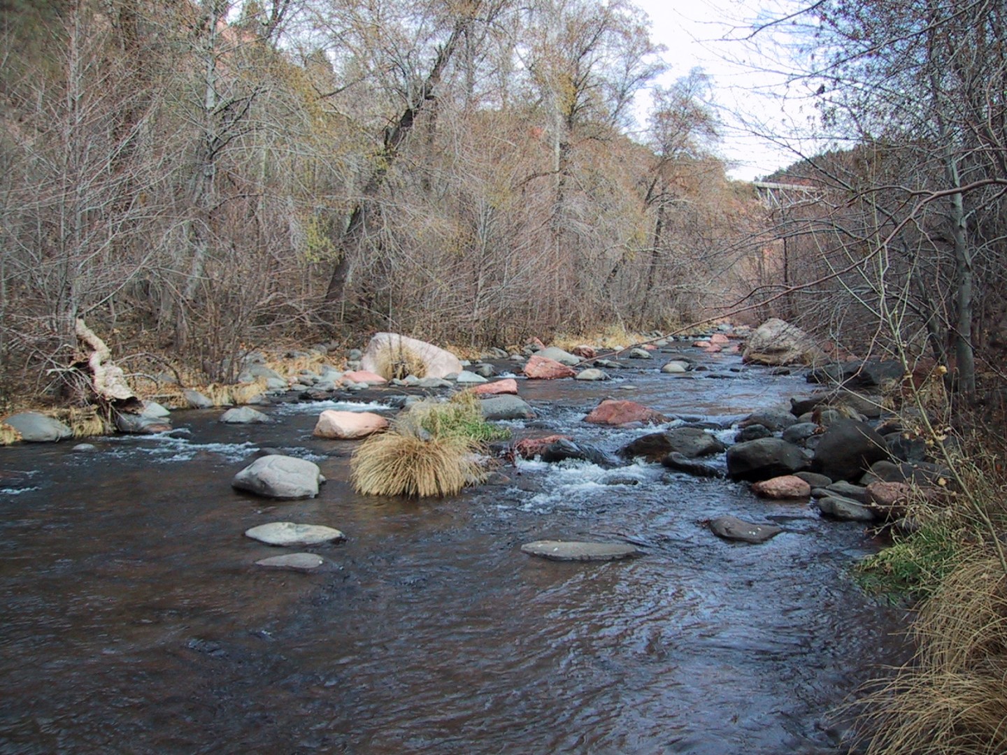Coconino National Forest | Raven About The Parks