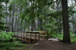 Coeur d’Alene National Forest | Raven About The Parks