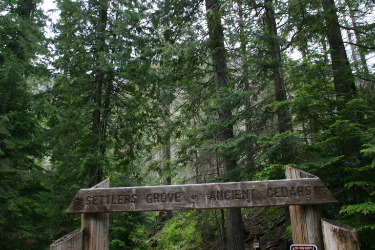 Coeur d’Alene National Forest | Raven About The Parks