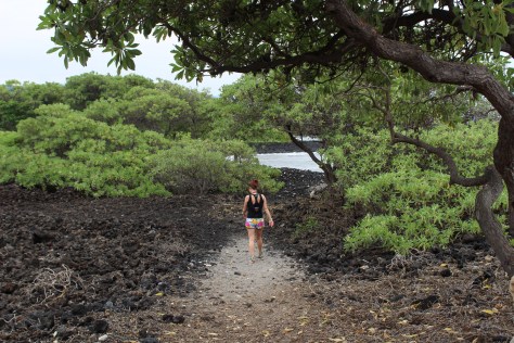Kaloko-Honokōhau National Historical Park | Raven About The Parks