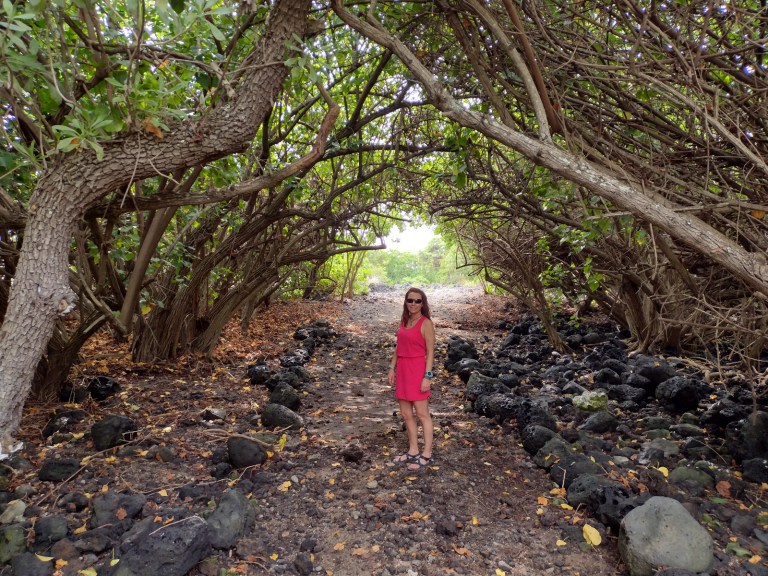 Kaloko-Honokōhau National Historical Park | Raven About The Parks