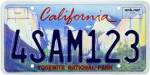 Top 10 National Park License Plates | Raven About The Parks