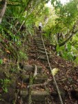 National Park of American Samoa | Raven About The Parks