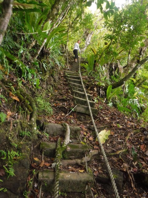 National Park of American Samoa | Raven About The Parks