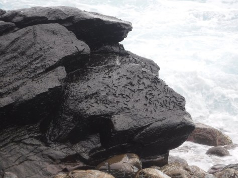 National Park of American Samoa | Raven About The Parks