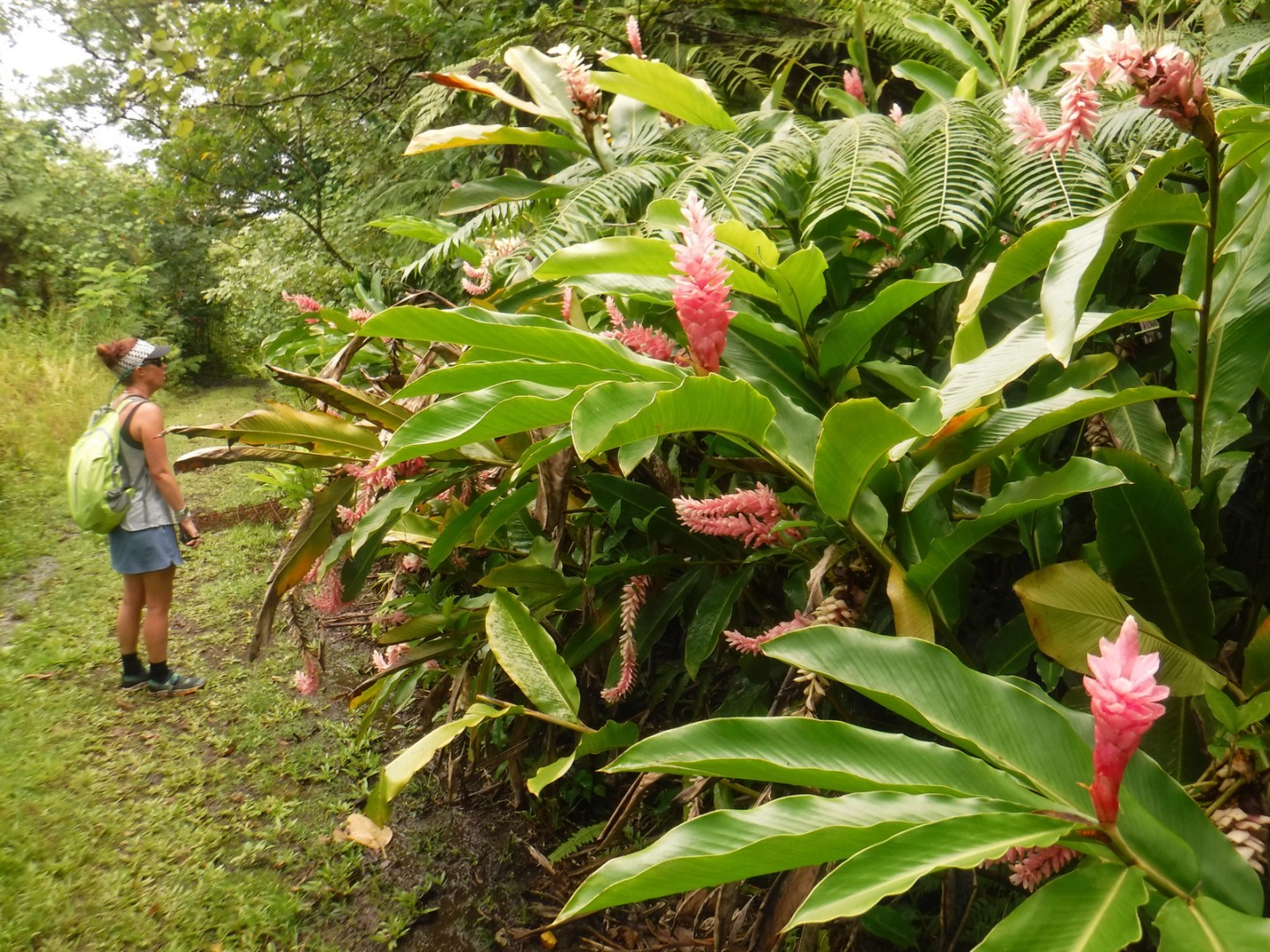 National Park of American Samoa | Raven About The Parks