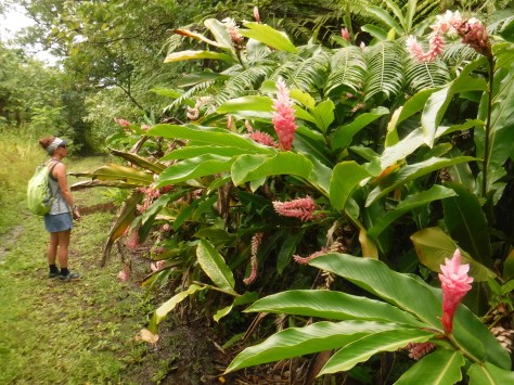 National Park of American Samoa | Raven About The Parks