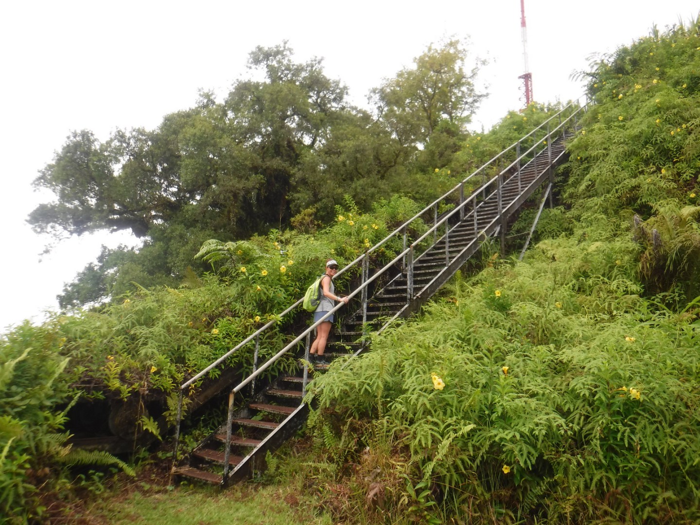 National Park of American Samoa | Raven About The Parks