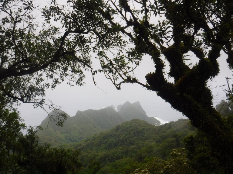 National Park of American Samoa | Raven About The Parks