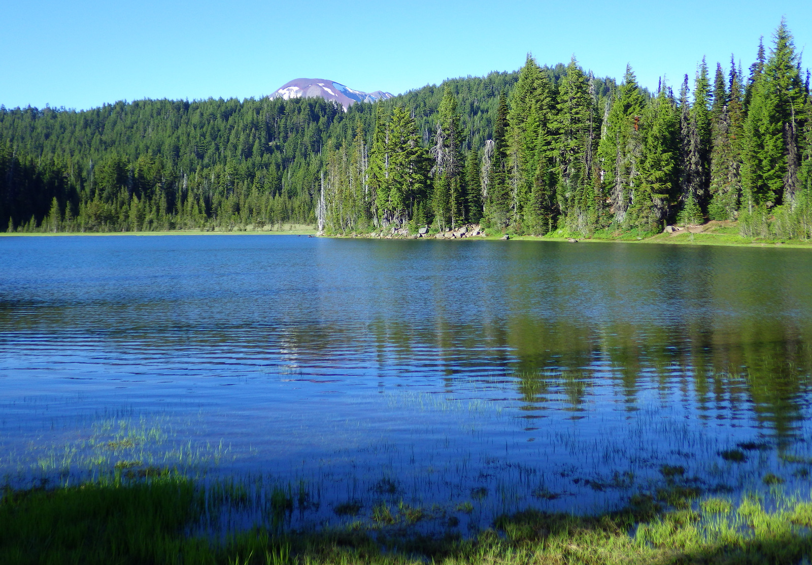 Deschutes National Forest | Raven About The Parks