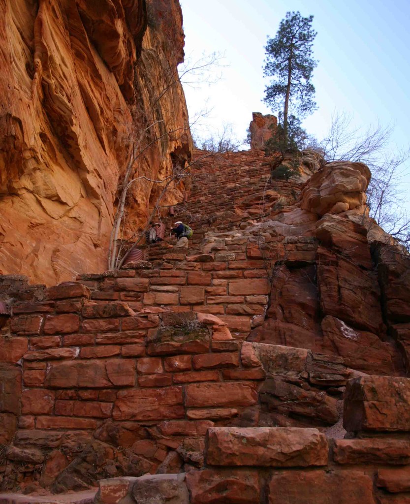 Zion National Park | Raven About The Parks