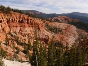 Dixie National Forest | Raven About The Parks