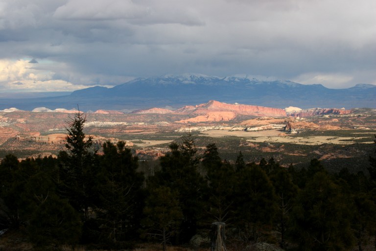 Dixie National Forest | Raven About The Parks