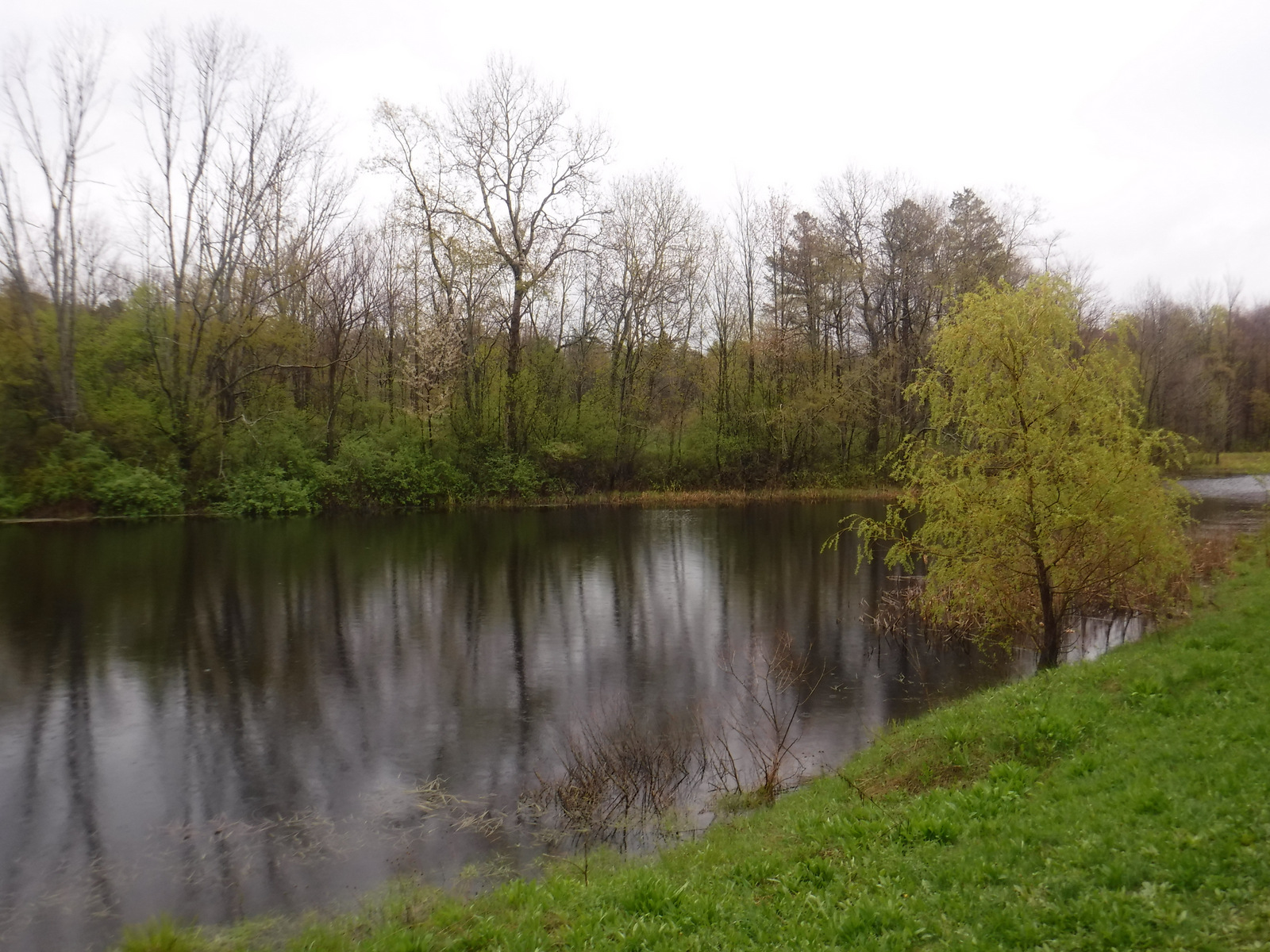 Gorge Ponds | Raven About The Parks
