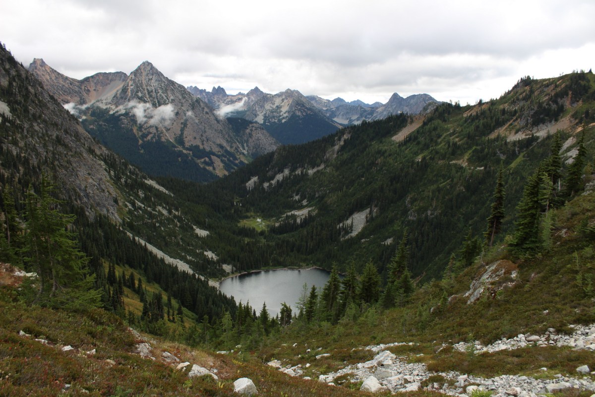 Top 10 States for National Forests | Raven About The Parks | Raven ...