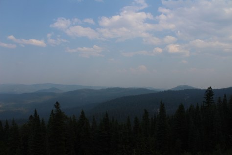 Fremont National Forest | Raven About The Parks