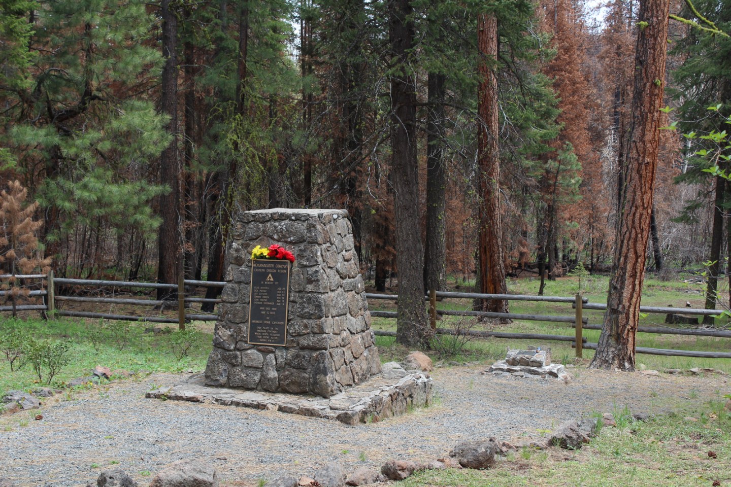 Fremont National Forest | Raven About The Parks