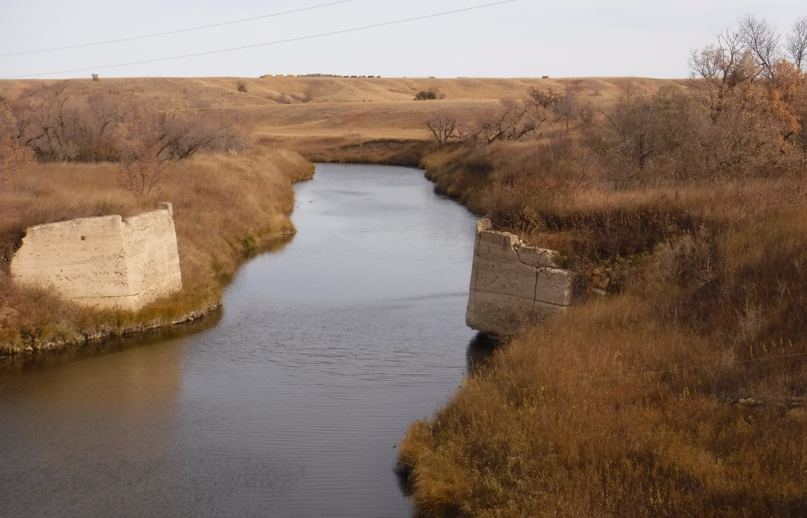 Cedar River | Raven About The Parks