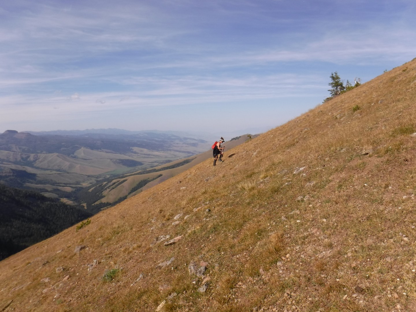 Gallatin National Forest | Raven About The Parks