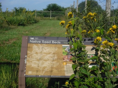 Midewin National Tallgrass Prairie | Raven About The Parks
