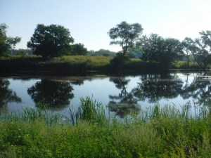 Midewin National Tallgrass Prairie | Raven About The Parks