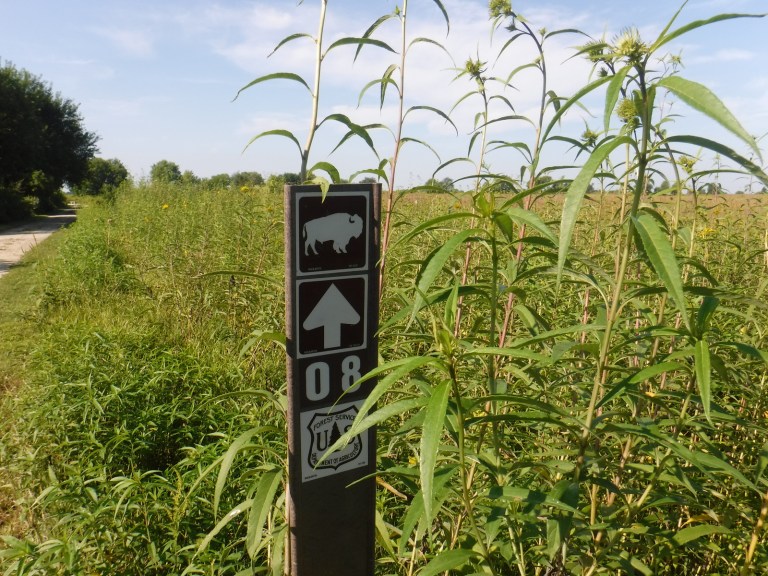 Midewin National Tallgrass Prairie | Raven About The Parks