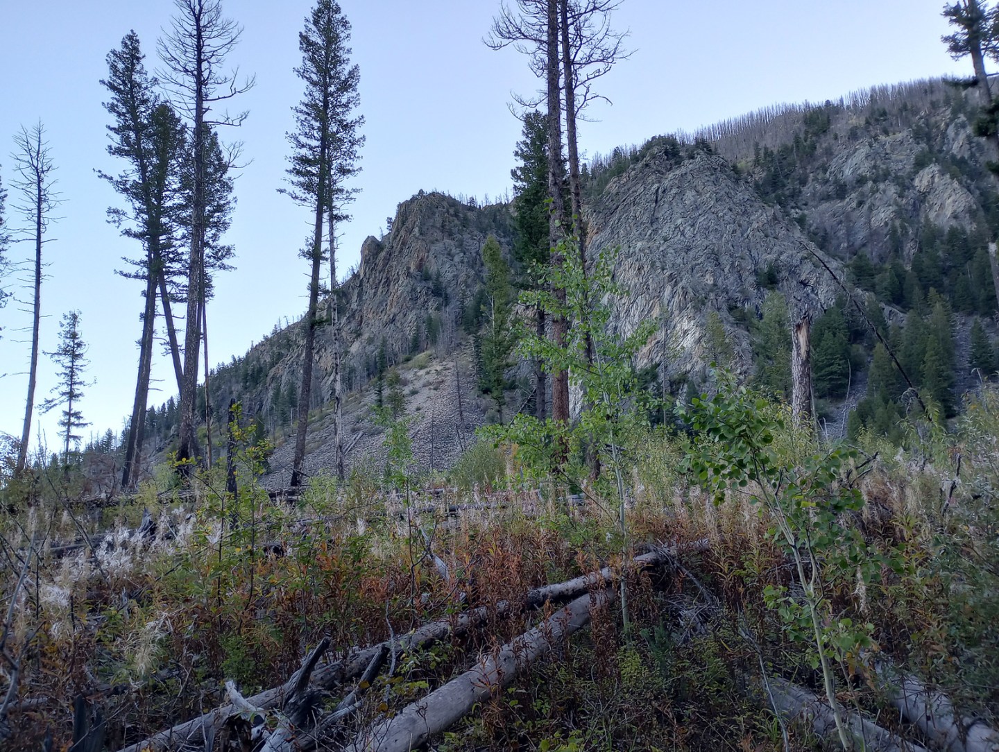 Gallatin National Forest | Raven About The Parks