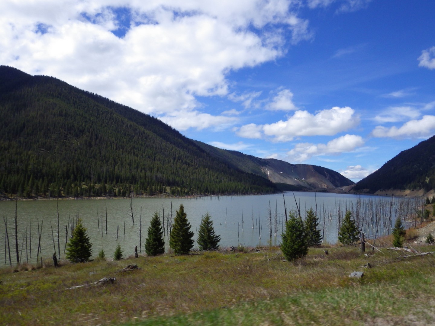 Gallatin National Forest | Raven About The Parks