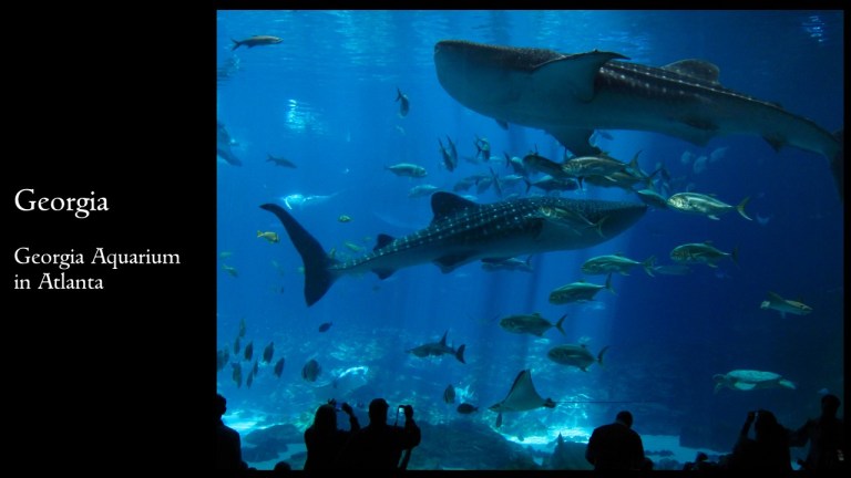 Reminder: Book signing this Tuesday | Raven About The Parks