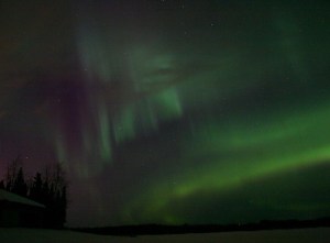 Reminder: Book signing this Tuesday | Raven About The Parks