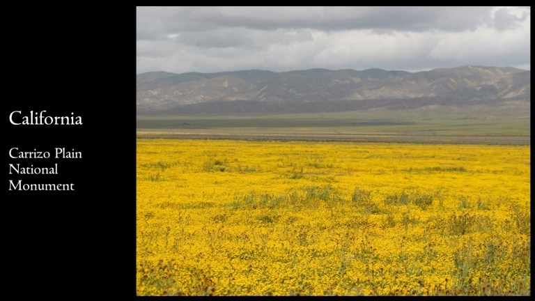 Reminder: Book signing this Tuesday | Raven About The Parks