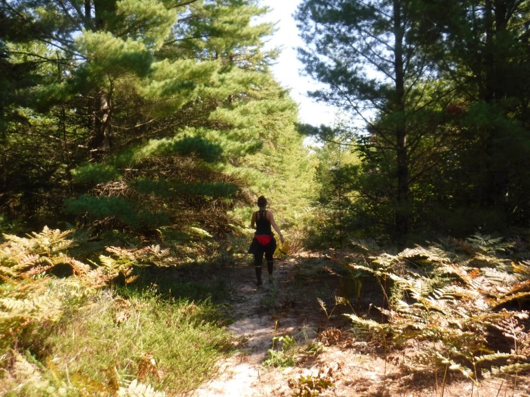 Hiawatha National Forest | Raven About The Parks
