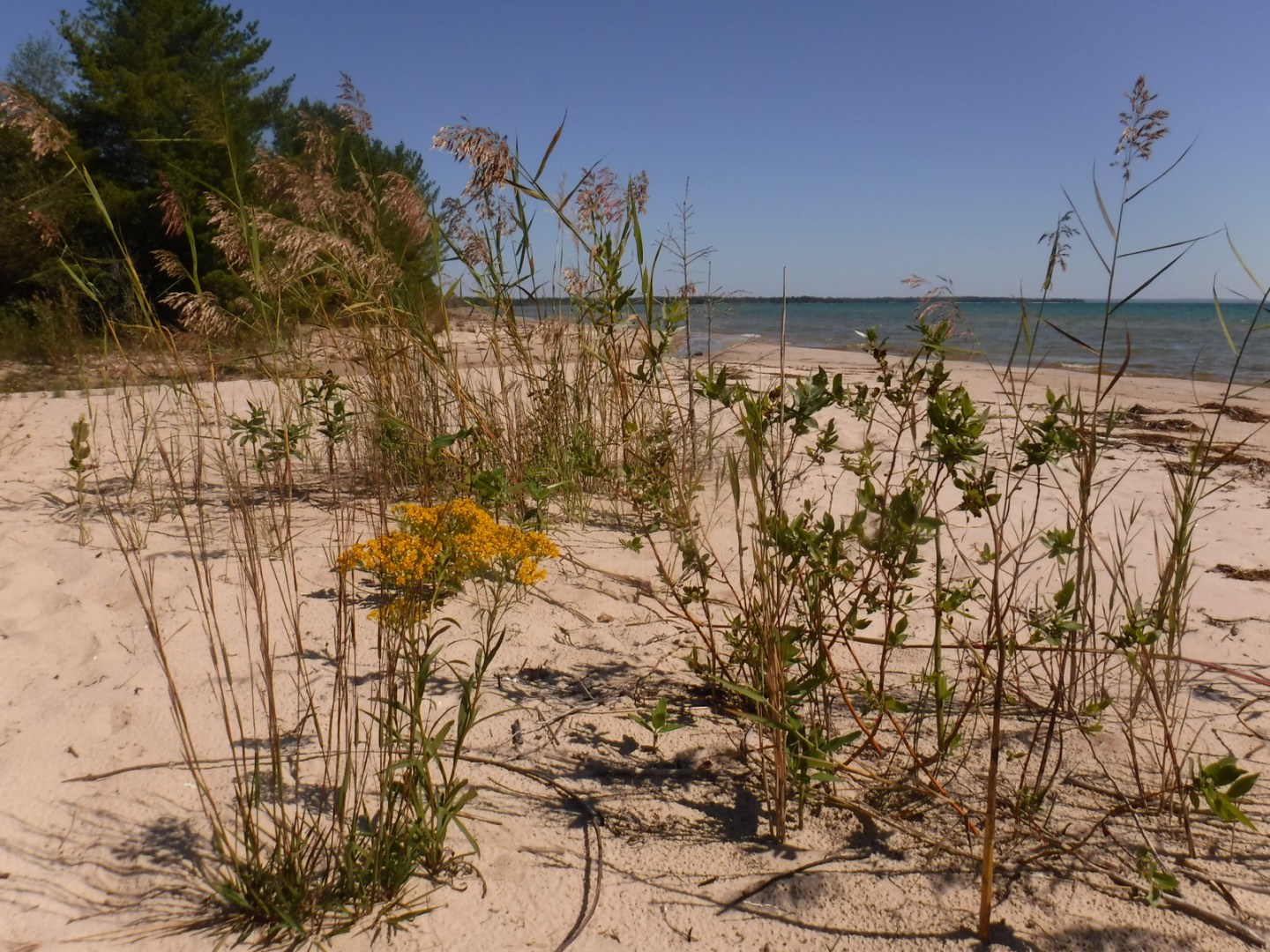 Hiawatha National Forest | Raven About The Parks